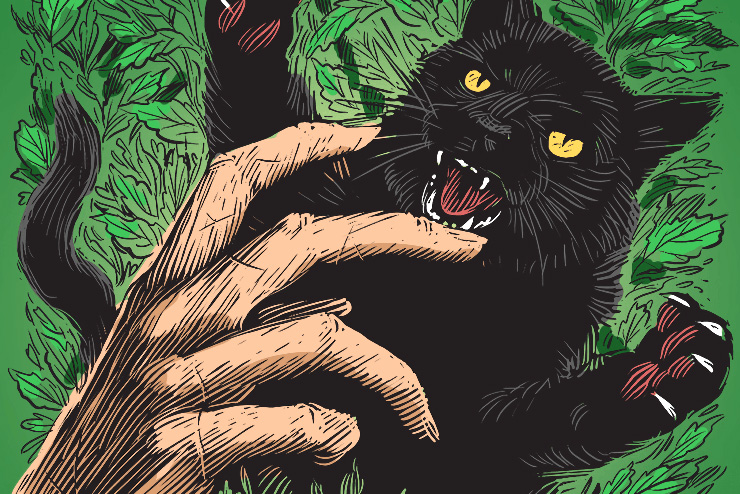 Cat Attack! - Food Gardening Network