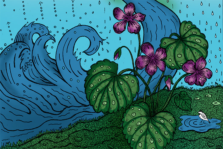 April Showers - Food Gardening Network