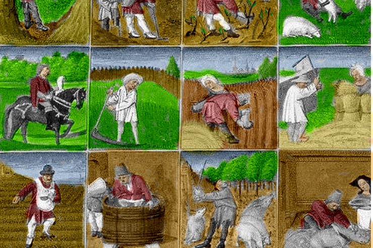 I’m a Peasant - Food Gardening Network