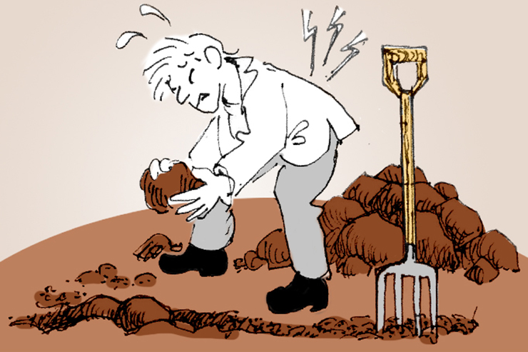 Too, Too Many Rocks - Food Gardening Network