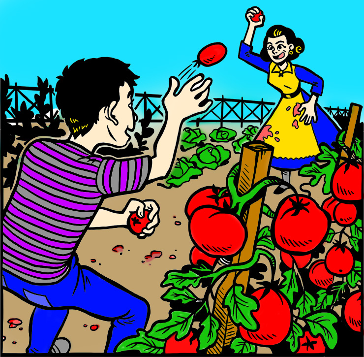 The Great Tomato Fight of 1957 - Food Gardening Network