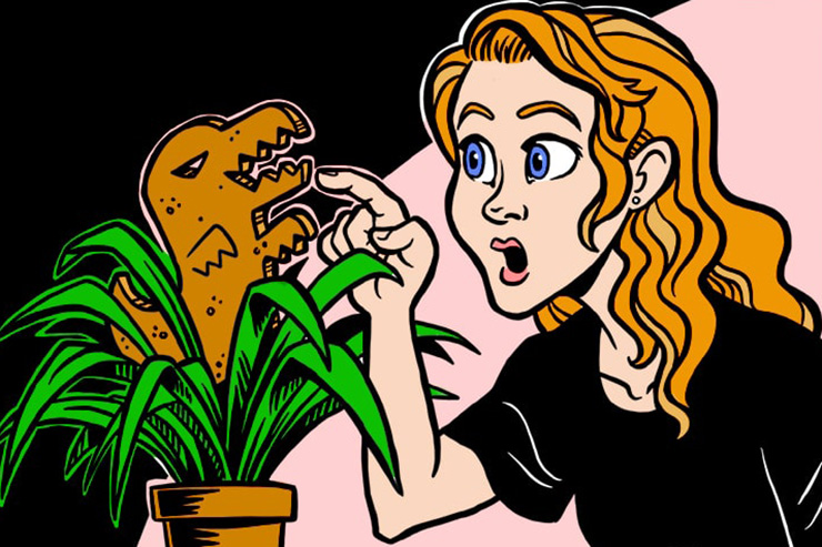 My Dinosaur Bromeliad - Food Gardening Network