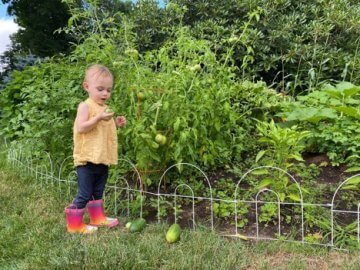 How to Plan a Kid’s Vegetable Garden - Food Gardening Network