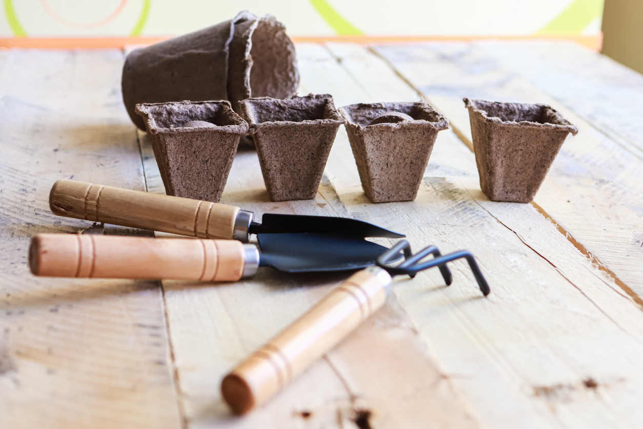 Essential Tools and Equipment for Growing and Enjoying Corn - Food ...