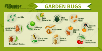 13 Deadly Vegetable Garden Pests - Food Gardening Network
