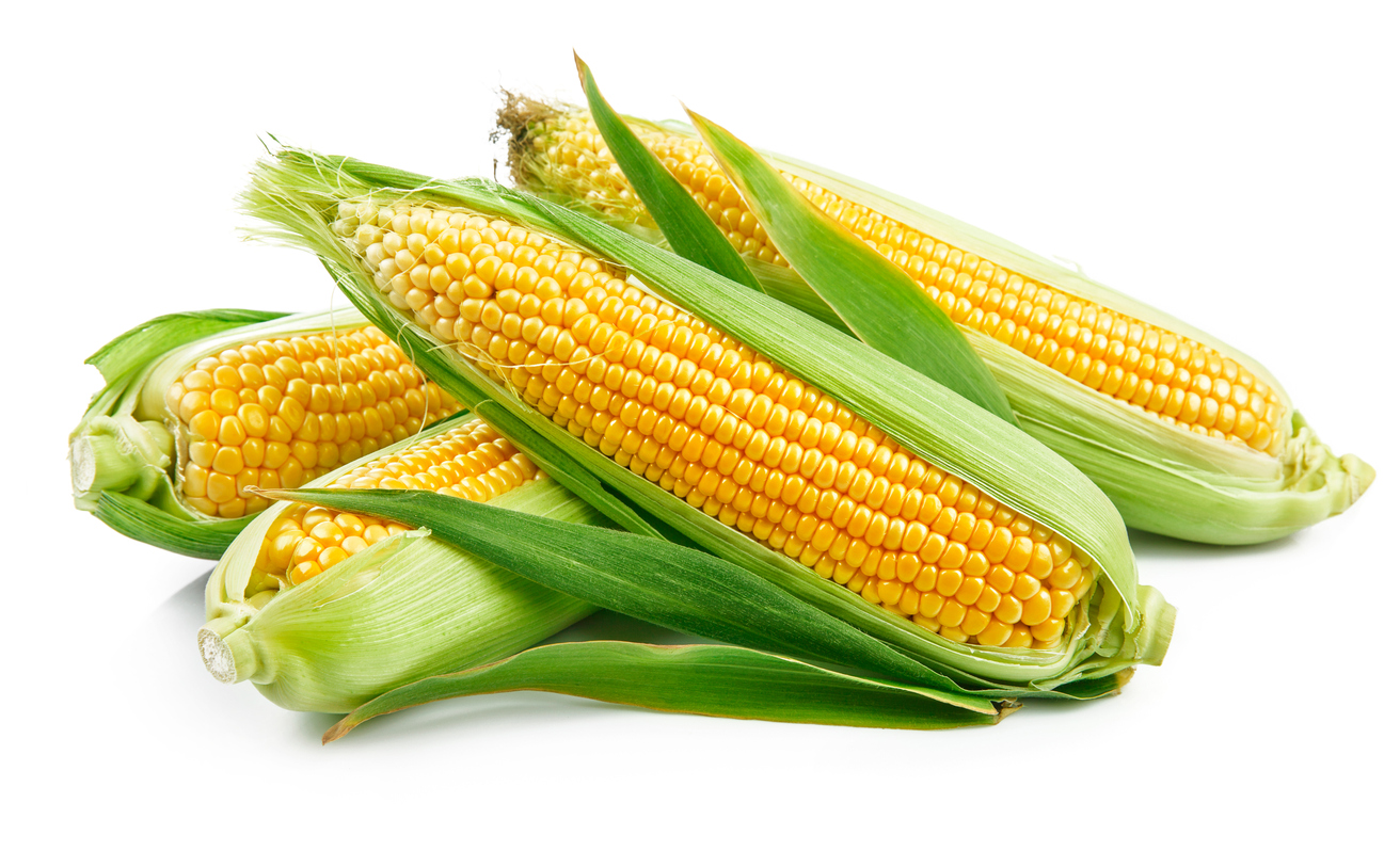 Types of Corn Plants - Food Gardening Network