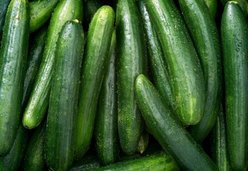 Introduction to Cucumbers - Food Gardening Network