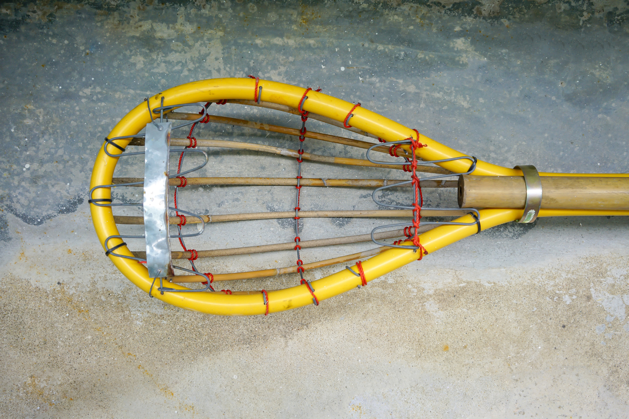 Essential Tools and Equipment for Growing and Enjoying Avocados - Food ...