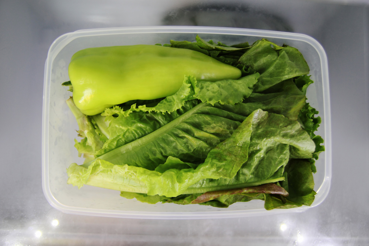 How to Keep an Odor Free Compost Bin in Your Home - Food Gardening Network