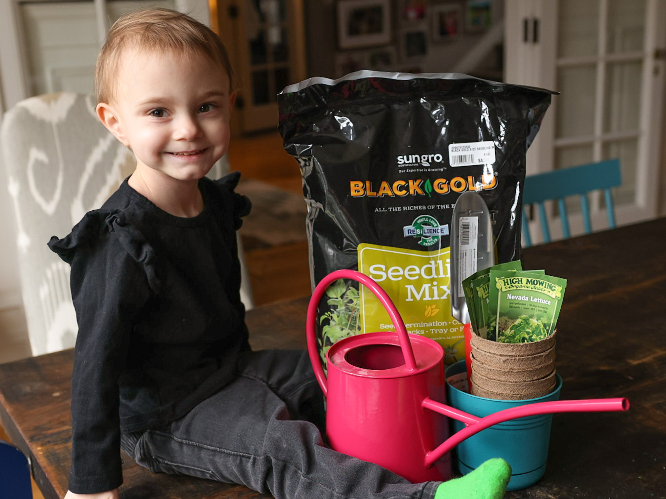How to Create Tasty Indoor Plant Growing Kits for Kids - Food Gardening ...