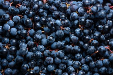 Introduction to Grapes - Food Gardening Network