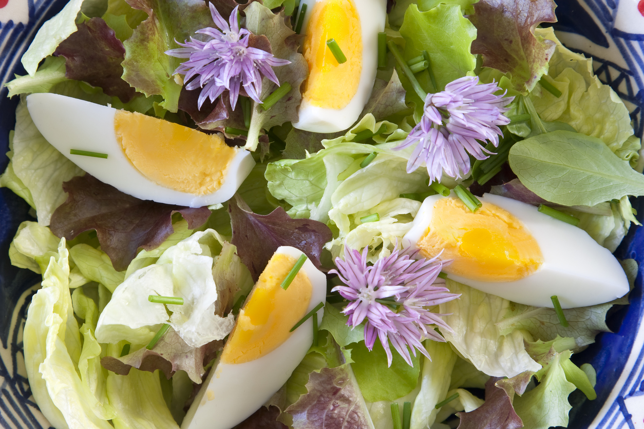 10 Edible Flowers to Plant with Herbs - Food Gardening Network