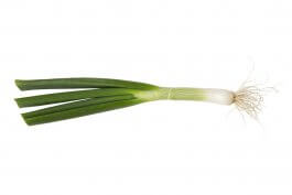 Evergreen Hardy White Scallions - Food Gardening Network