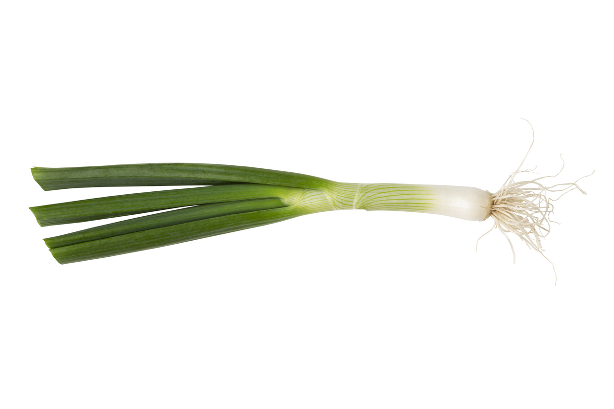 Evergreen Hardy White Scallions - Food Gardening Network