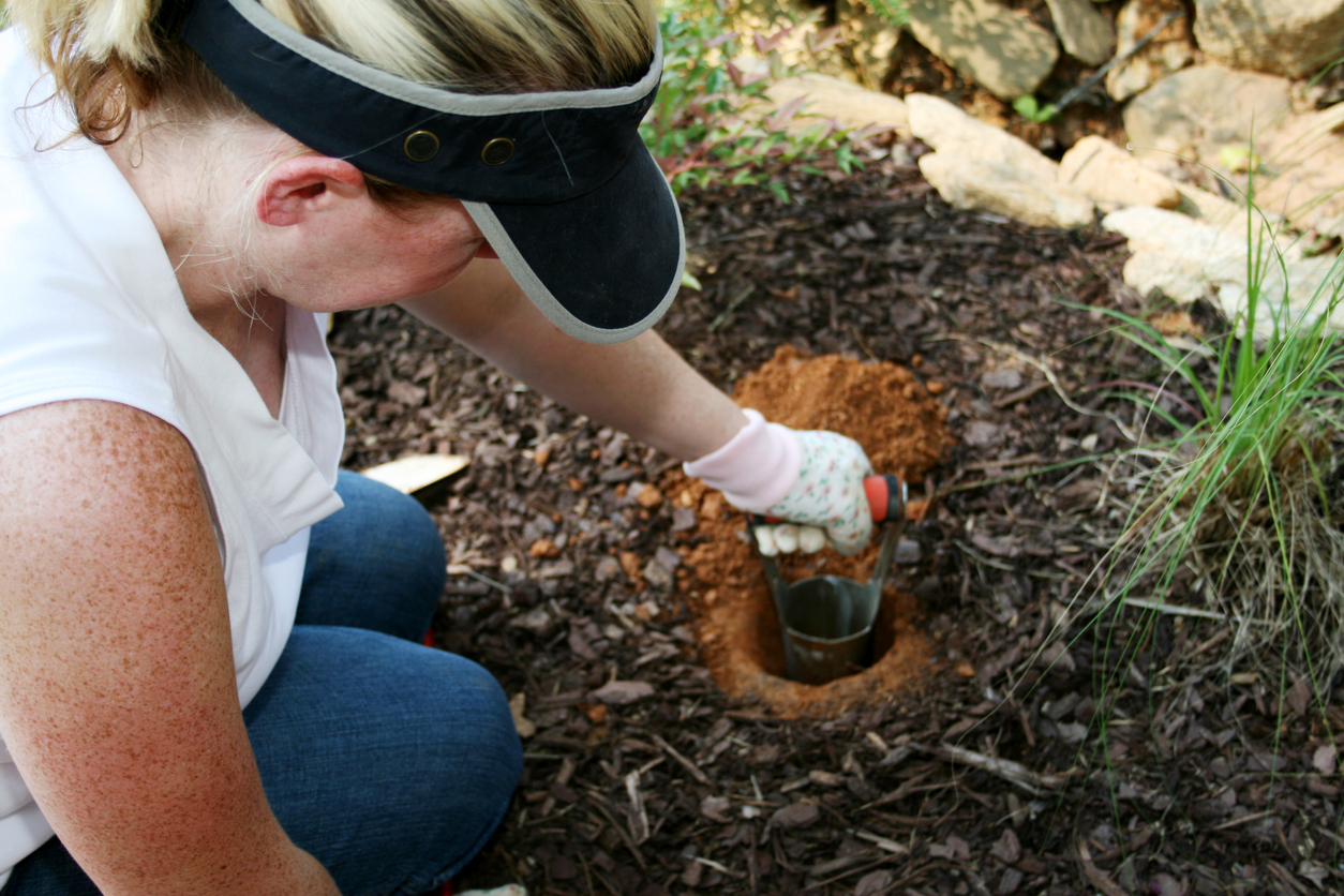 3 Tools Needed to Start a Garden and 3 You Really Don’t Need - Food ...