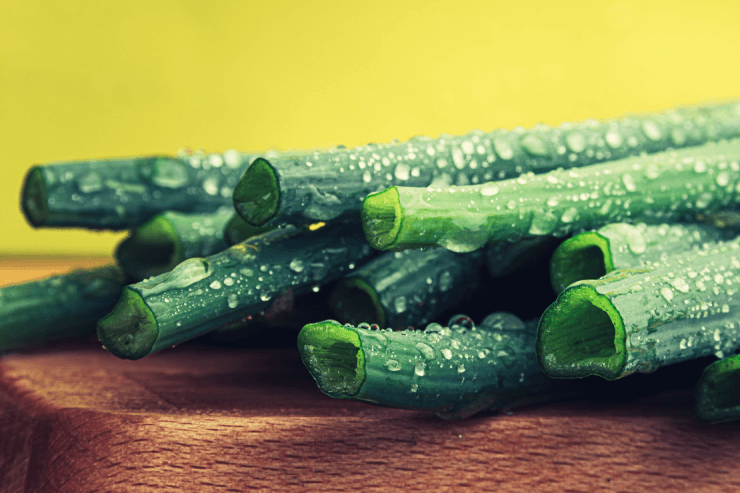 The Super Scrumptious Scallion Guide – Food Gardening Network