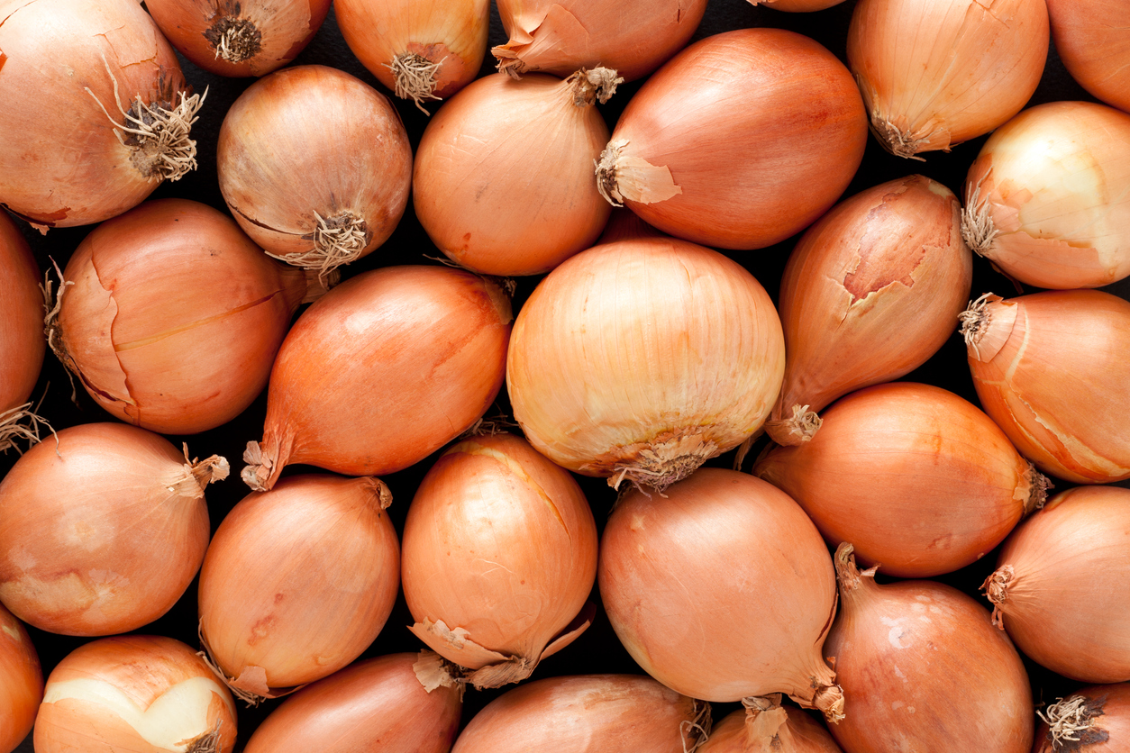 Introduction to Onions - Food Gardening Network