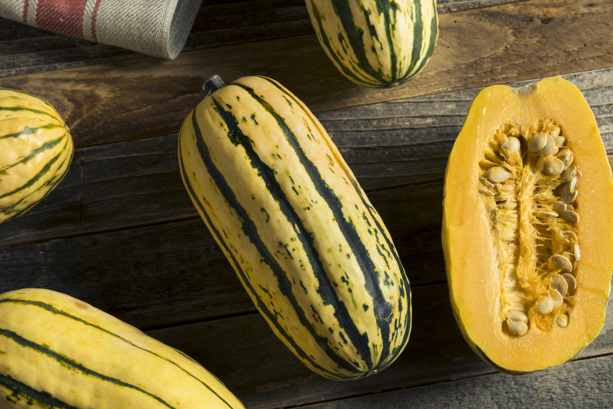 7 Tips for Storing Squash No Matter What Type - Food Gardening Network