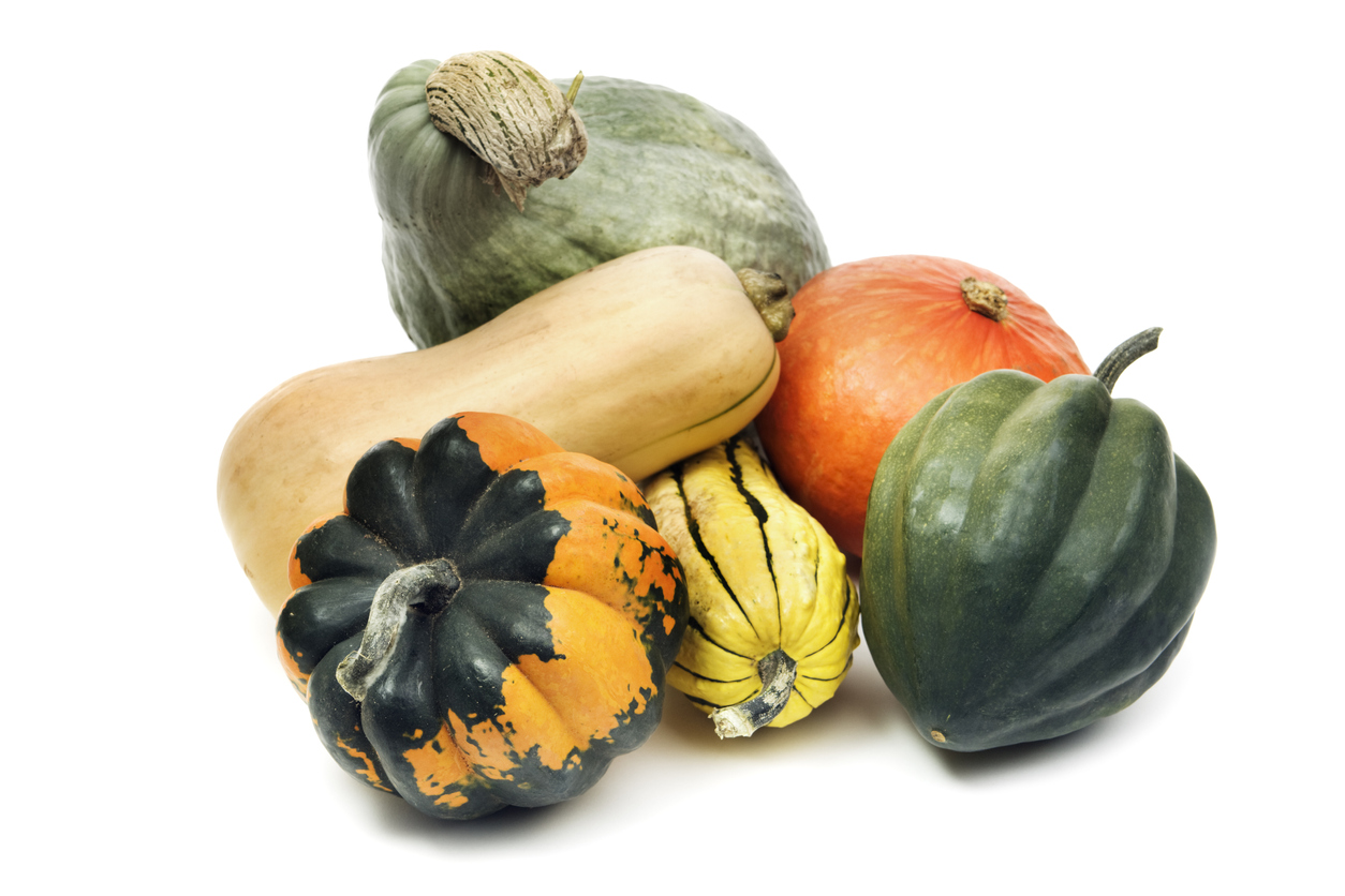 7 Tips for Storing Squash No Matter What Type - Food Gardening Network