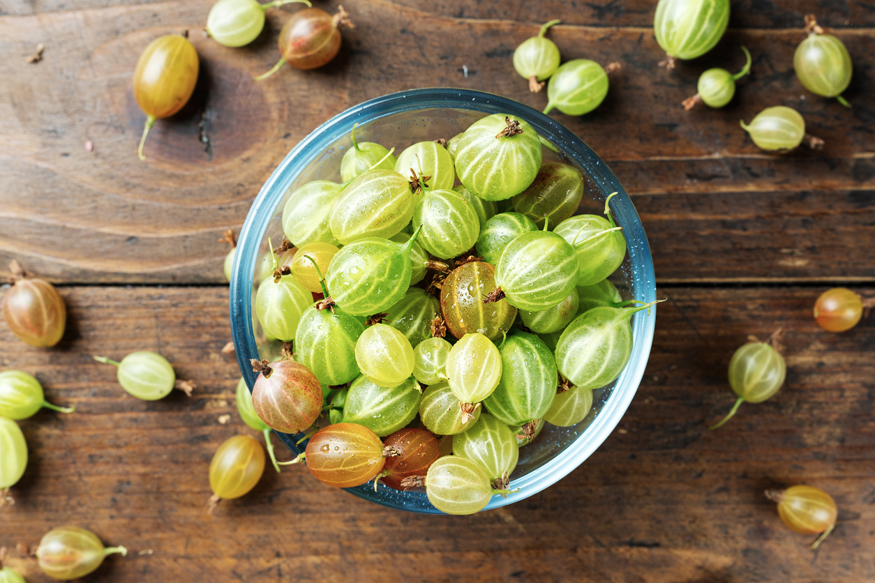 5 Things To Know Before You Start Growing Gooseberries - Food Gardening ...