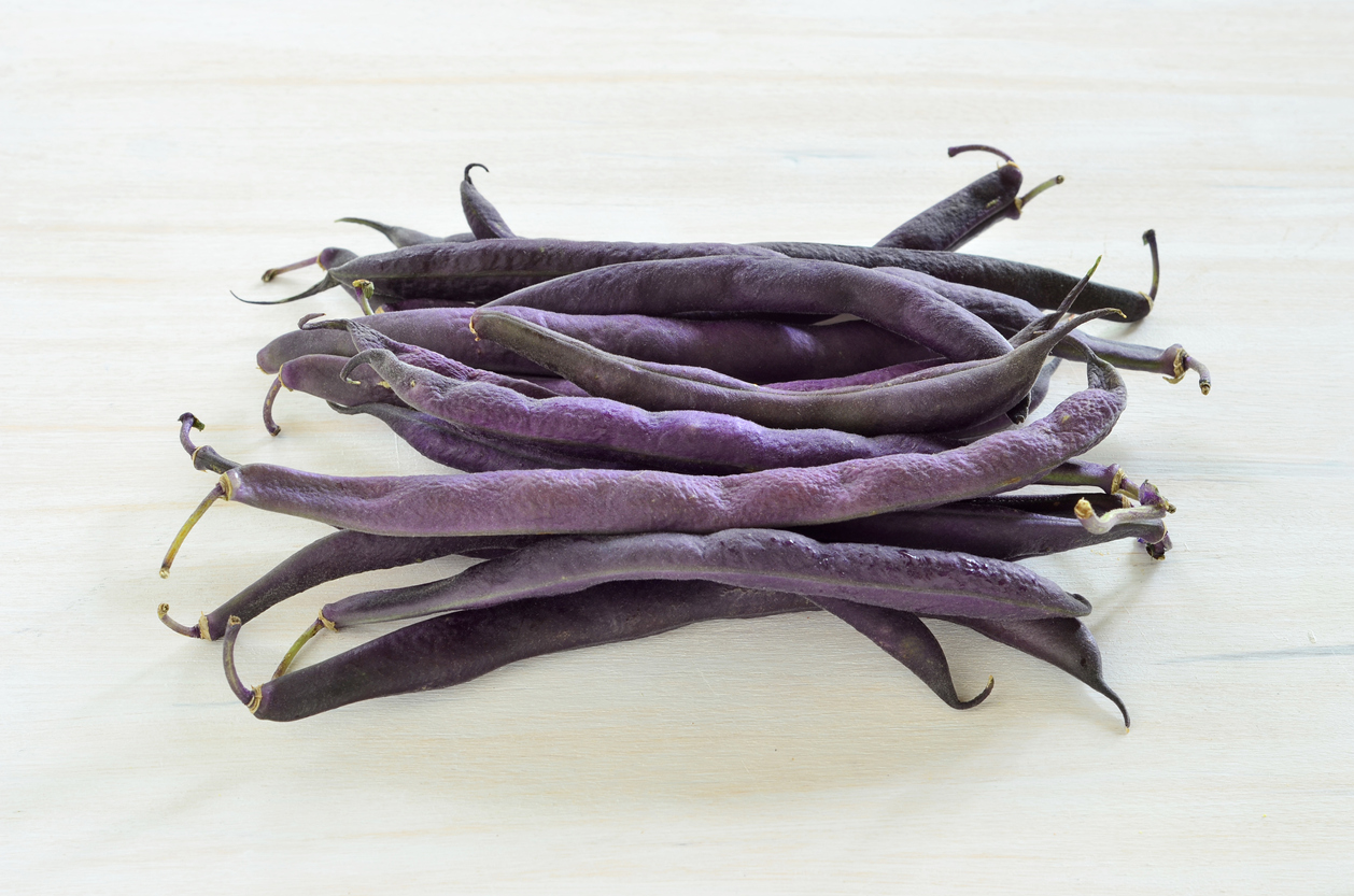 Rich Purple Pod Pole Beans - Food Gardening Network