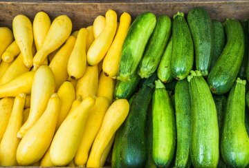 How to Preserve Zucchini and Summer Squash 5 Ways - Food Gardening Network