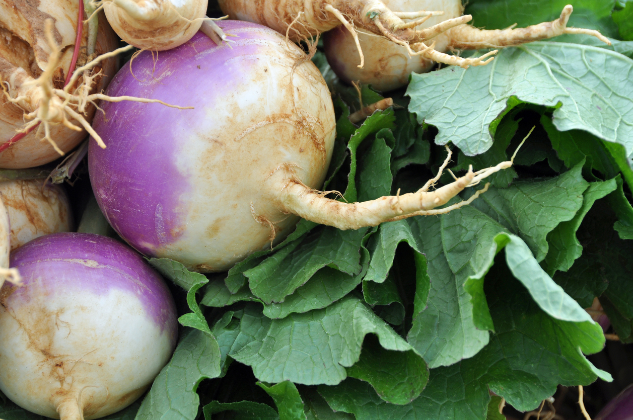 The Best Vegetables for Container Gardening in Tough Planting Zones ...