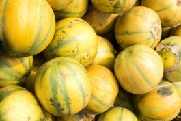 Ha’Ogen Melon - Food Gardening Network