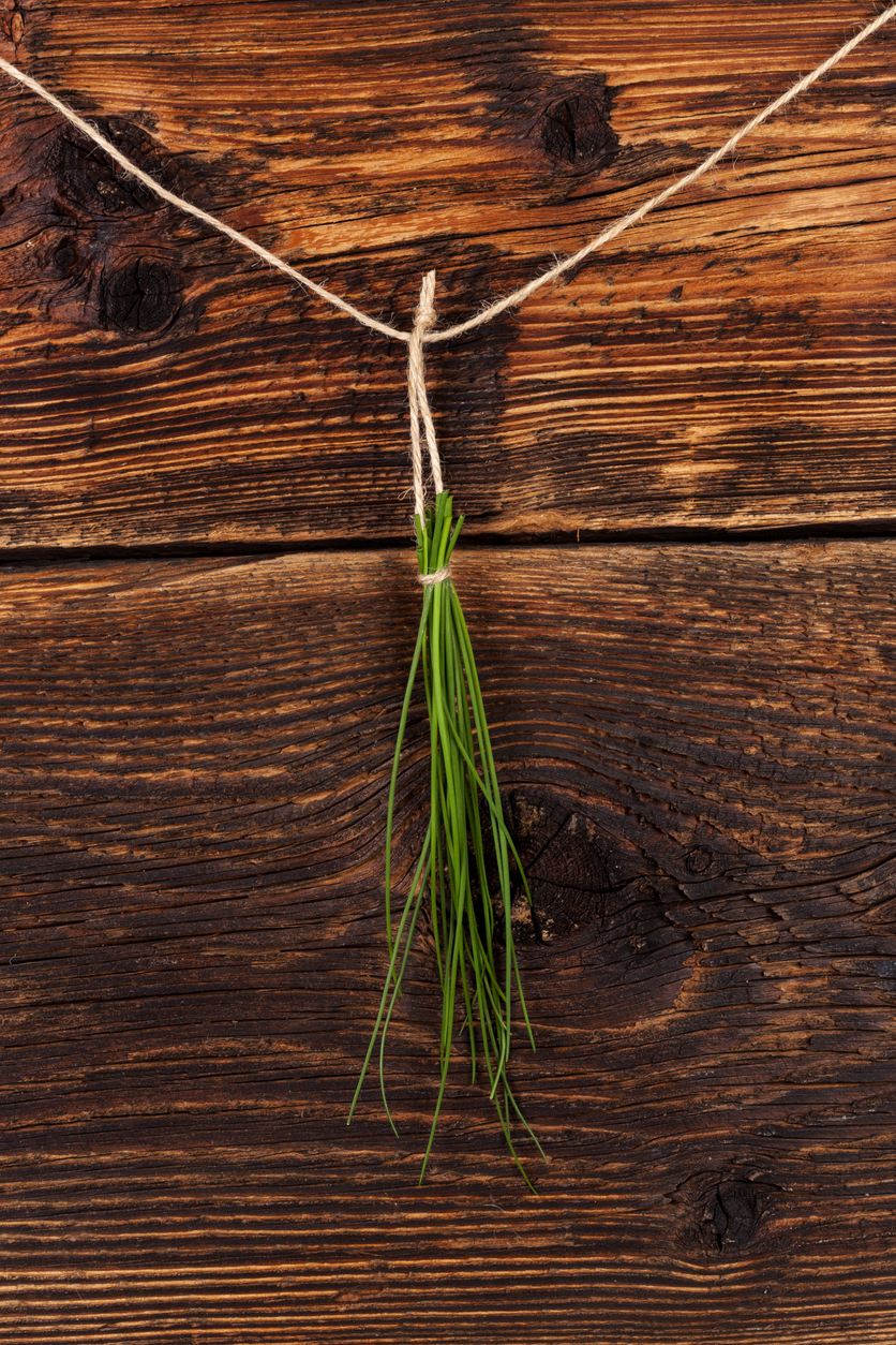 Preserving Your Chives - Food Gardening Network