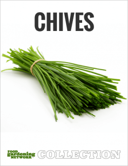 Types of Chives - Food Gardening Network