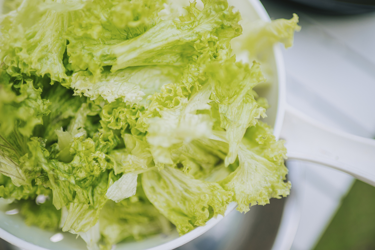 Home Remedies and Health Benefits of Lettuce - Food Gardening Network