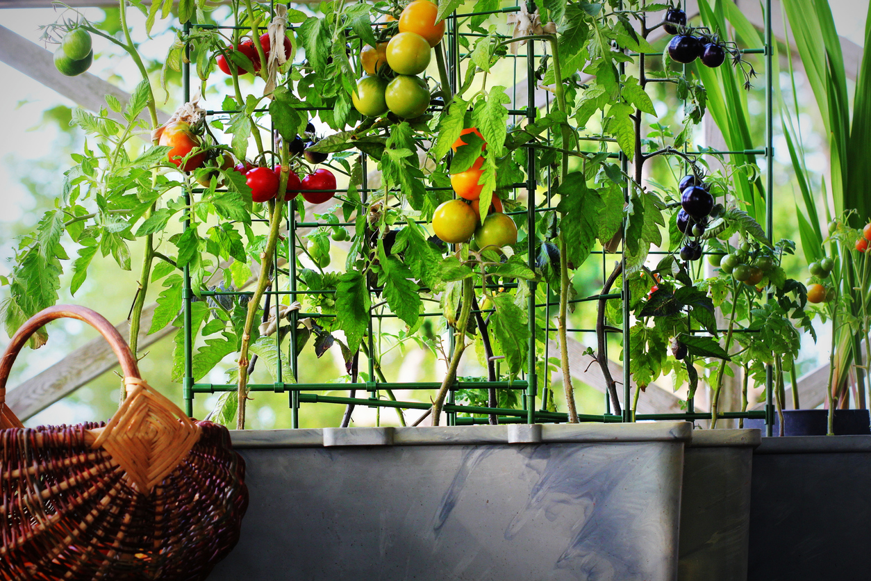 How to Make a DIY Tower Garden for Vegetables and Herbs - Food ...