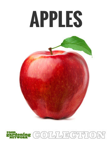 How to Identify the Worst Apple Diseases - Food Gardening Network