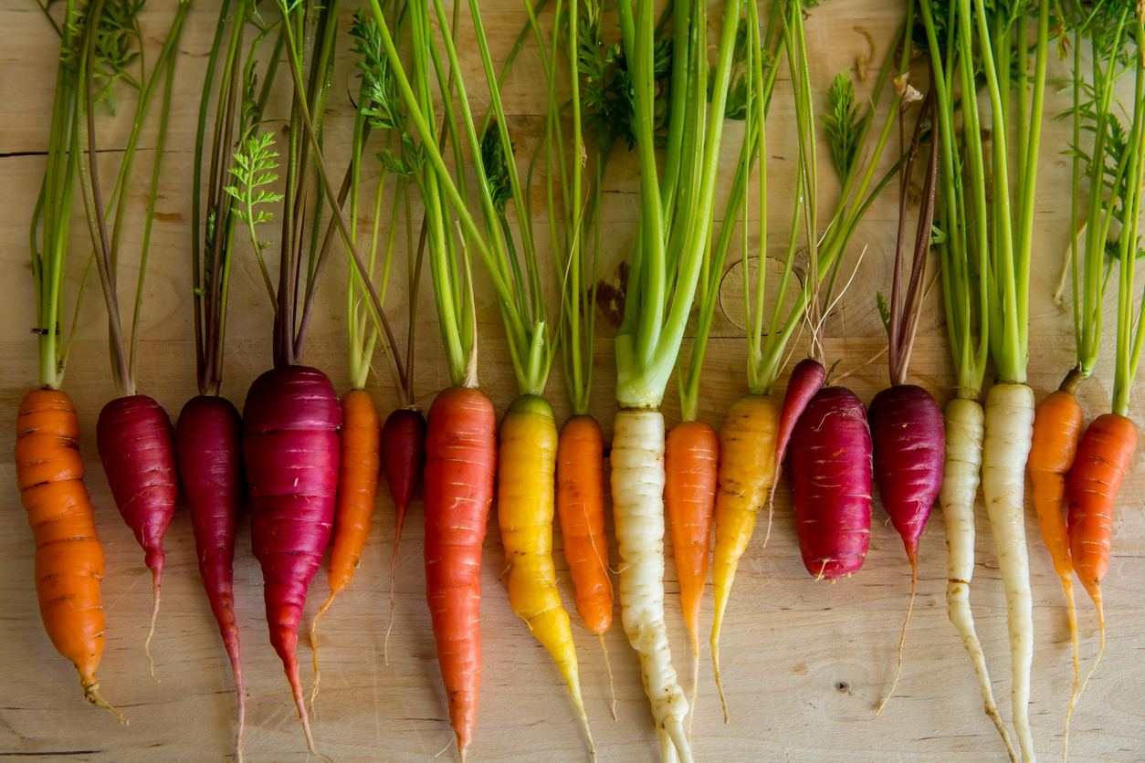 Introduction to Carrots - Food Gardening Network