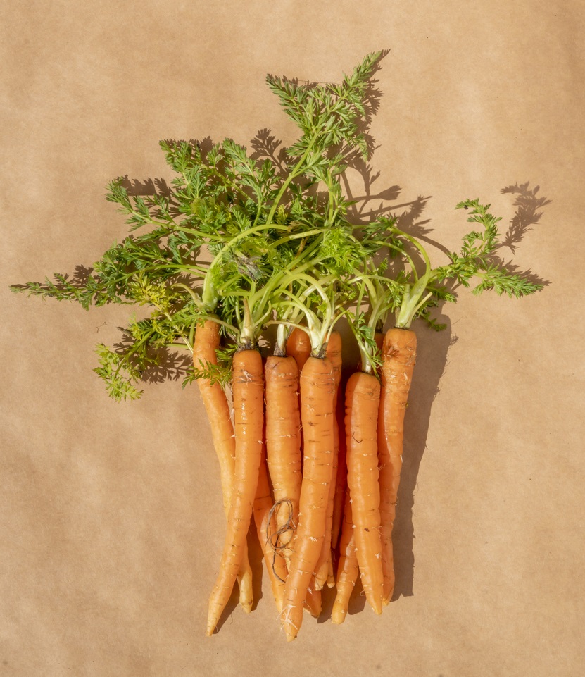 Little Finger Carrots - Food Gardening Network