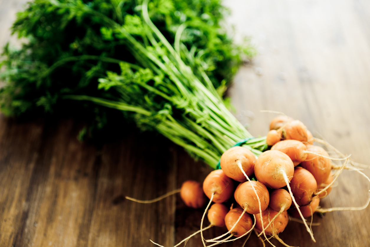 Thumbelina Carrots - Food Gardening Network