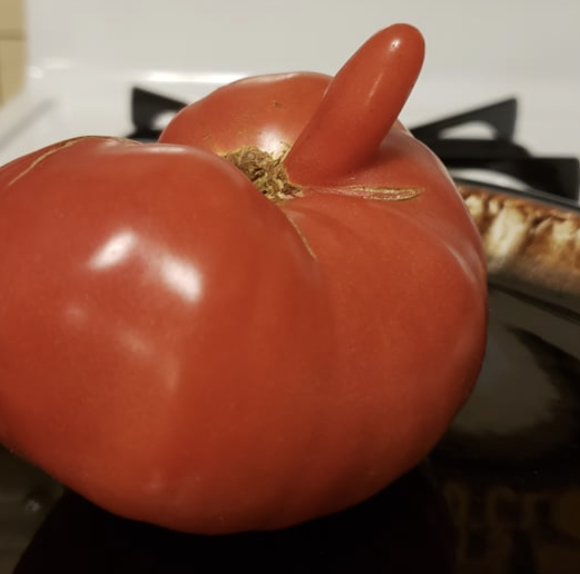 Attack of the Mutant Vegetables: The 6 Weirdest Vegetable Mutations ...