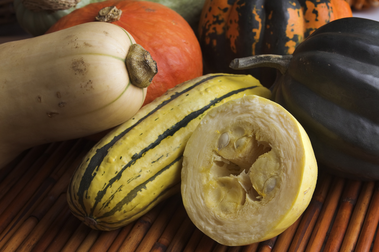 Types of Winter Squash - Food Gardening Network