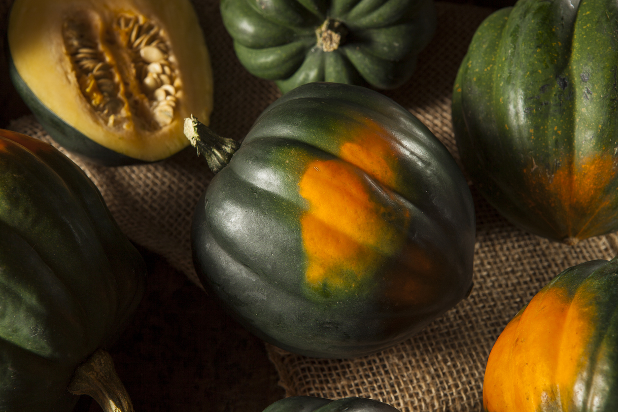 Acorn Table Queen Squash (C. pepo) - Food Gardening Network