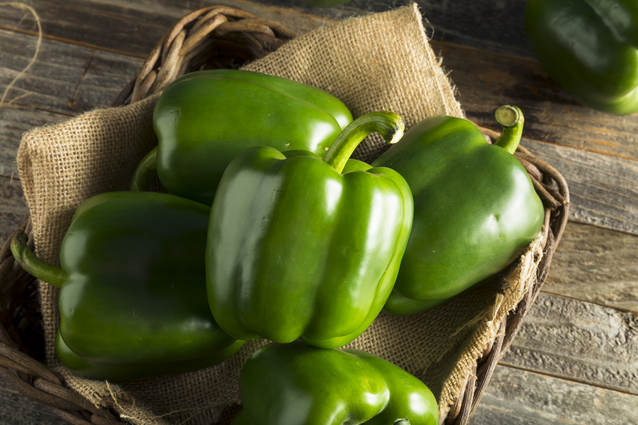 Classic Bell Peppers - Food Gardening Network