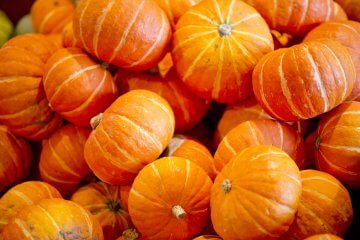 Sunshine Squash (C. maxima) - Food Gardening Network