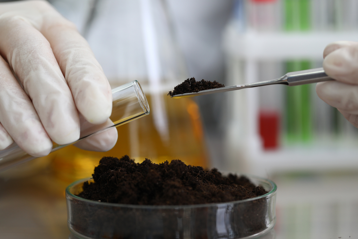5 Benefits of Soil Sample Testing Before You Plant - Food Gardening Network
