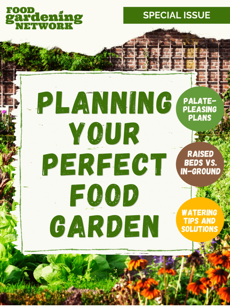 Planning Your Perfect Food Garden - Food Gardening Network