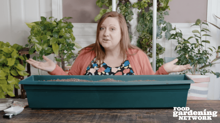 How to Make Organic DIY Seed Tape for Perfectly Spaced Vegetables ...