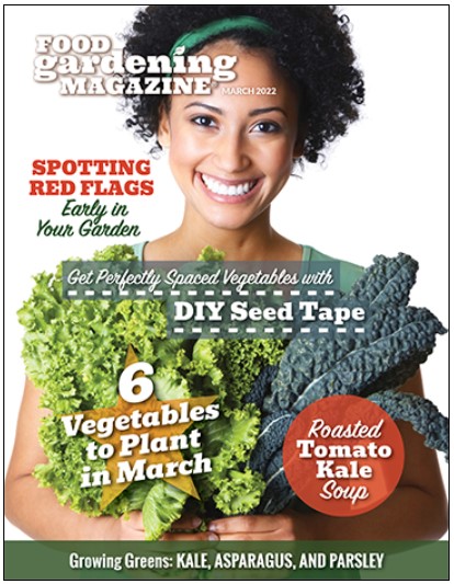 6 Rare Vegetable Gardening Magazines to Inspire You - Food Gardening ...
