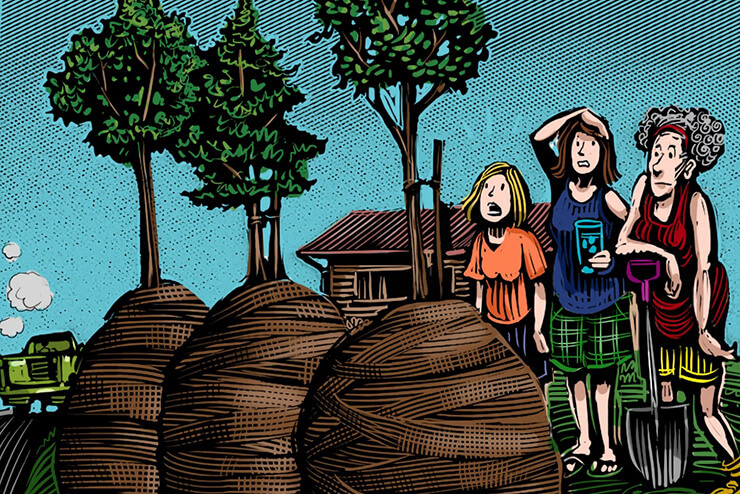 The Lawn Ranger - Food Gardening Network