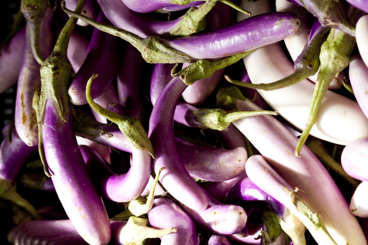 Ping Tung Eggplant - Food Gardening Network