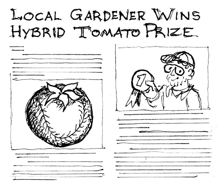 Baseball is Gardening is Baseball - Food Gardening Network