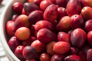 Nutrition Facts about Cranberries - Food Gardening Network