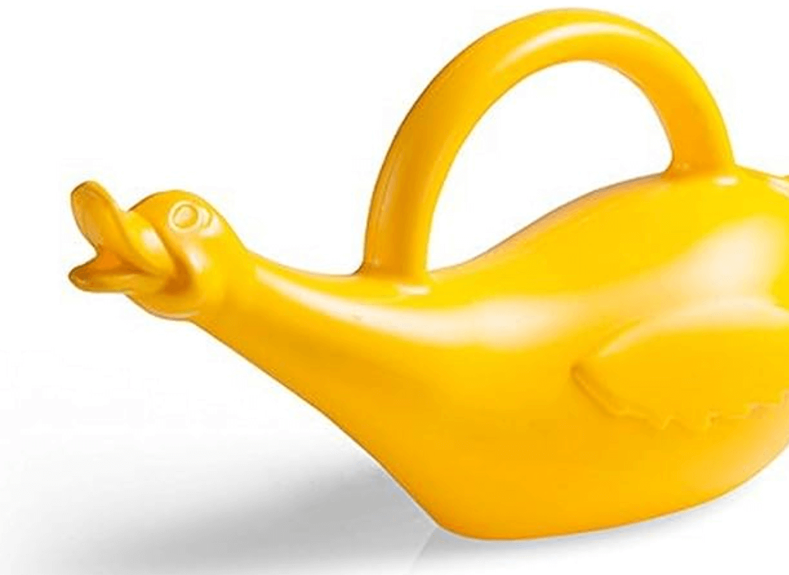 The 5 Best Watering Cans: Gardener-Approved! - Food Gardening Network